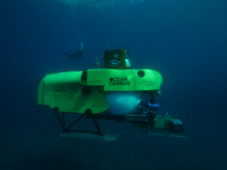 Over 800 New Marine Species Discovered | Ocean Census