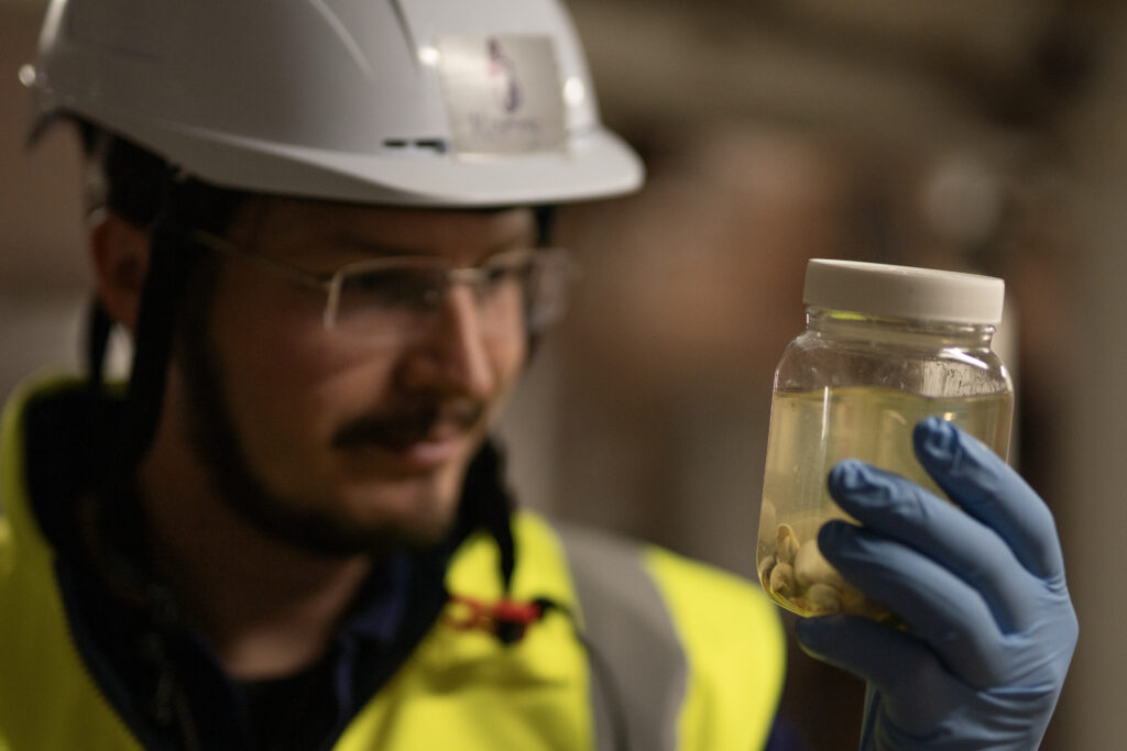 The Ocean Census | Discover Life