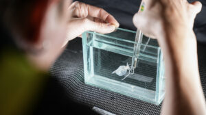 Our First Deep-sea Expedition in Japan, Partnering with JAMSTEC