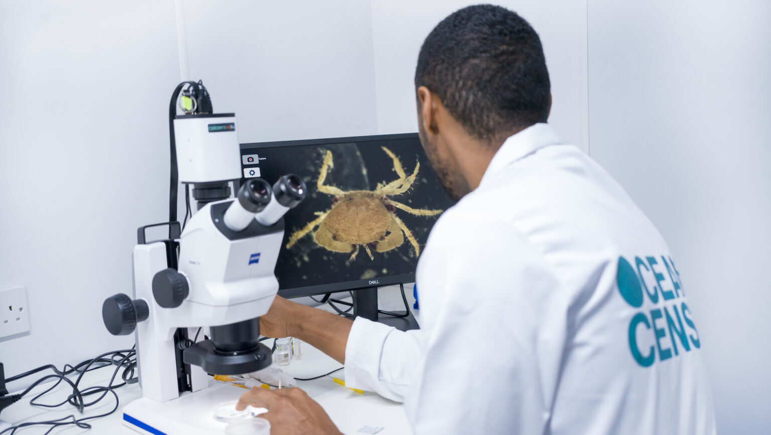 The Ocean Census | Discover Life