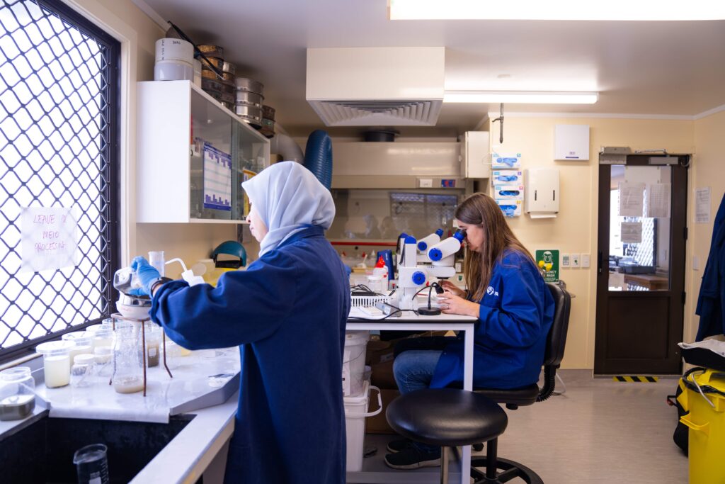 9 Incredible Arctic Deep Sea Animals Found on the Ocean Census 2024 ...