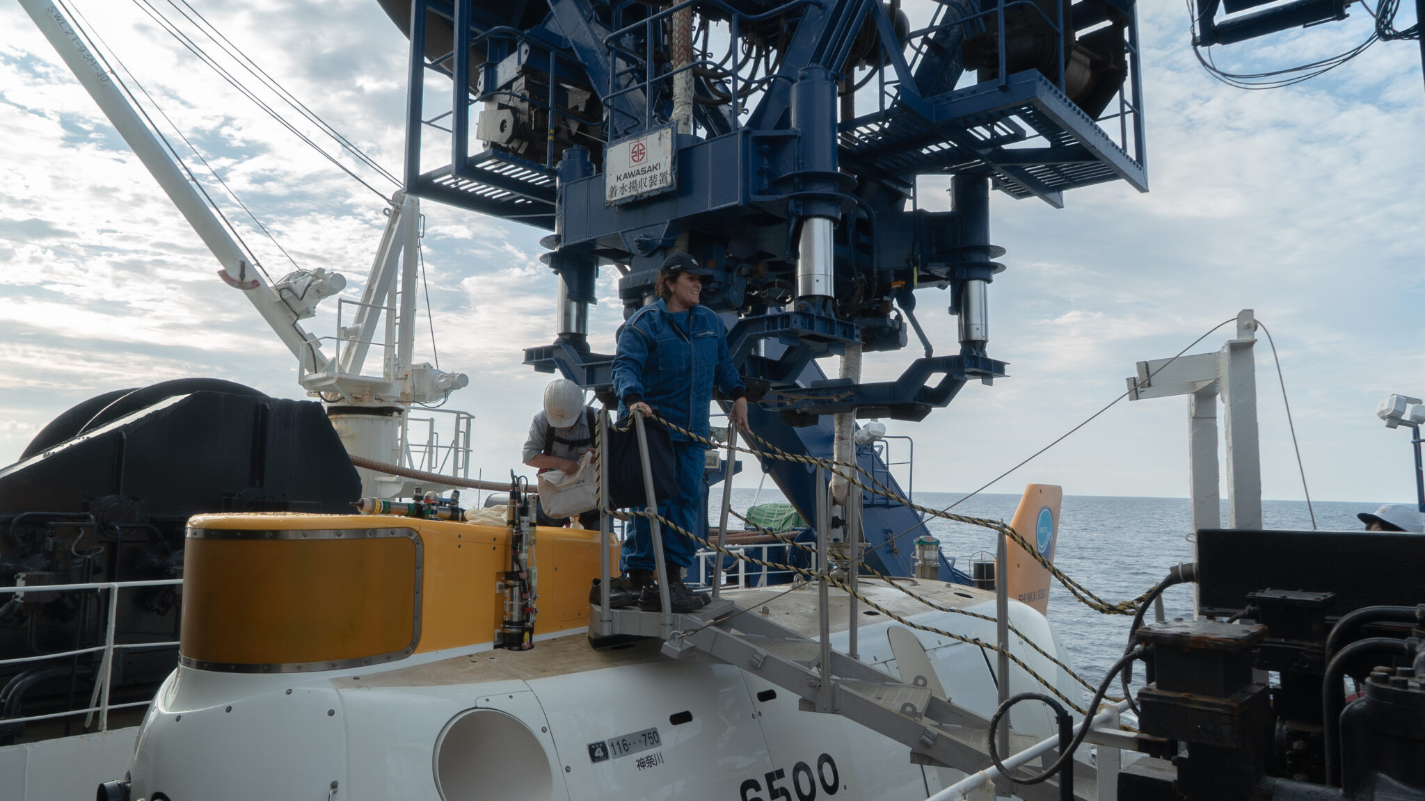 The Ocean Census | Discover Life