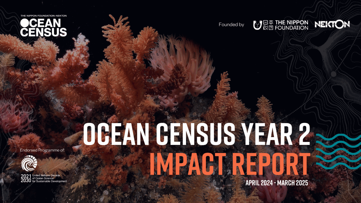 The Ocean Census | Discover Life