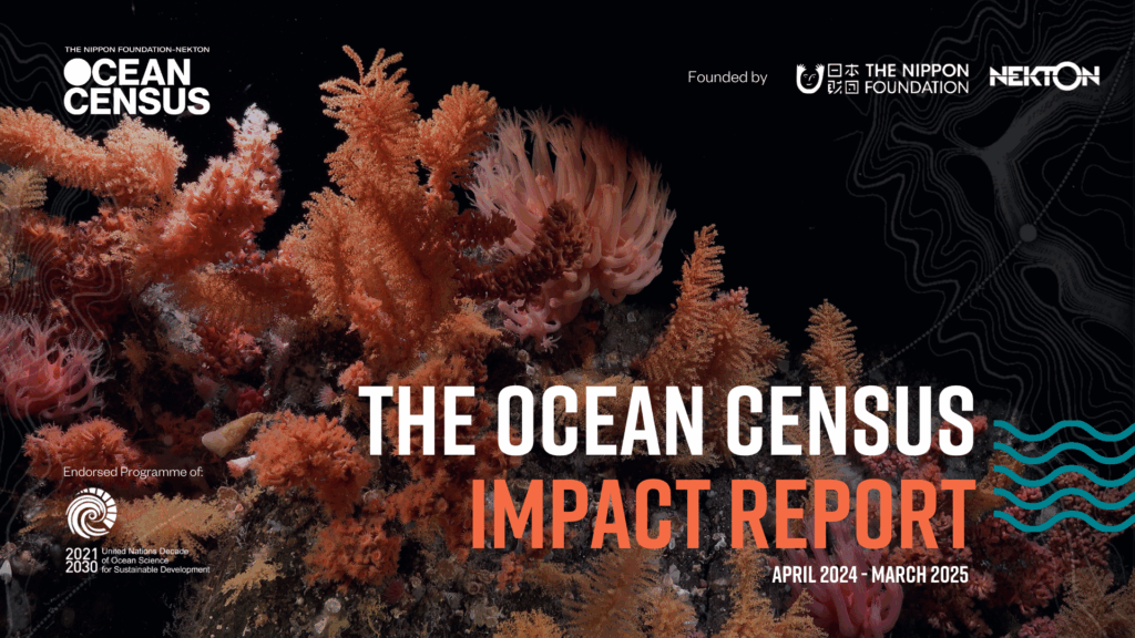 How Many Ocean Species Remain Undiscovered? - Ocean Census