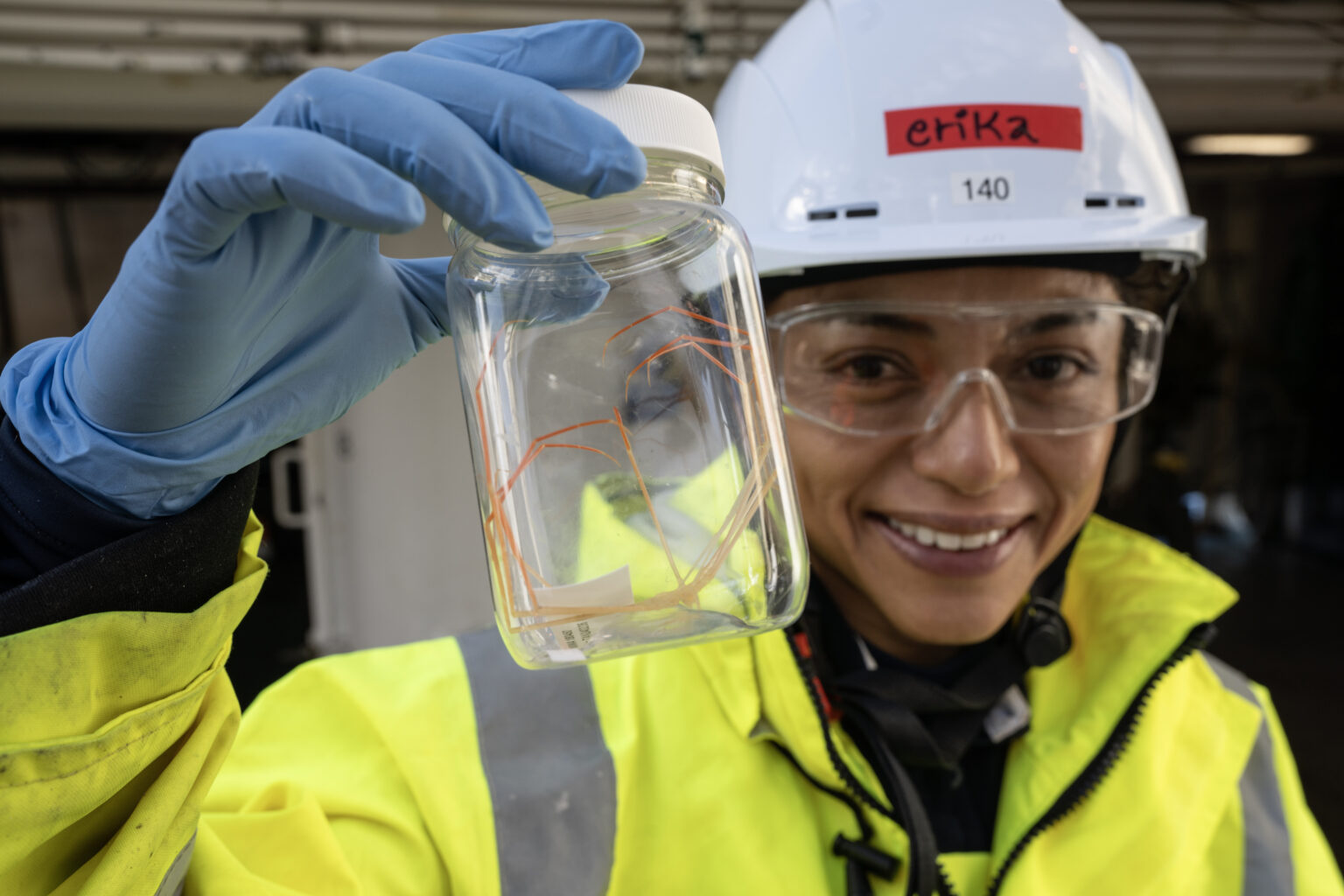 9 Incredible Arctic Deep Sea Animals Found on the Ocean Census 2024 ...